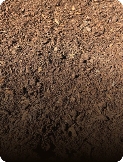 Garden Mix – Casco