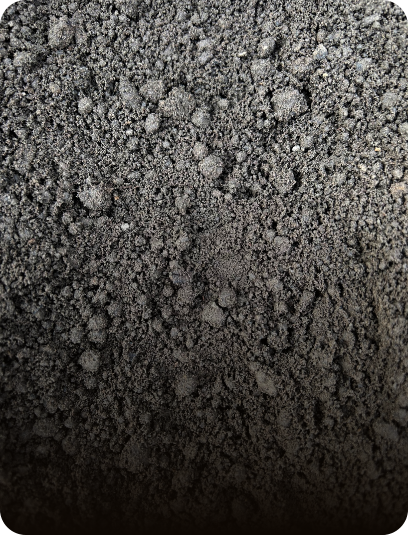 Screened Sandy Loam Topsoil - Casco